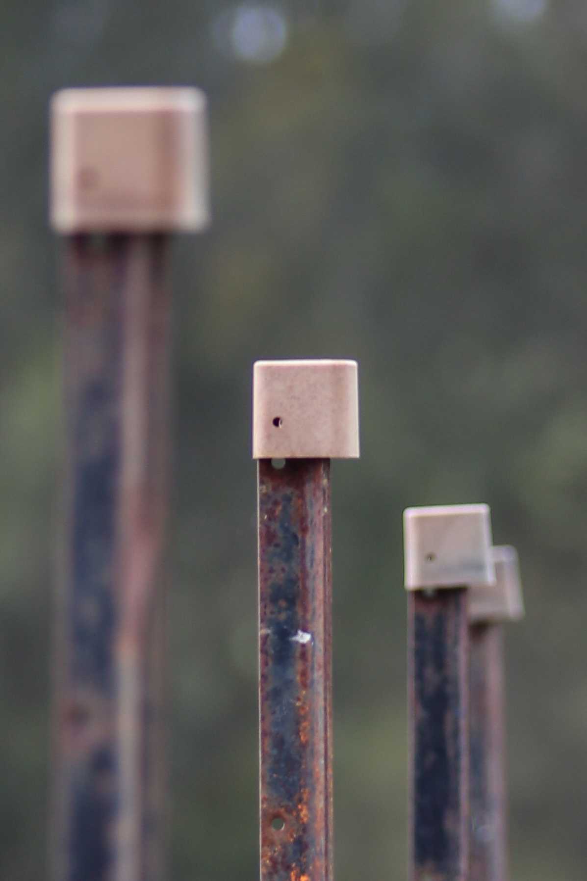 Rebar Safety Caps | Compostify